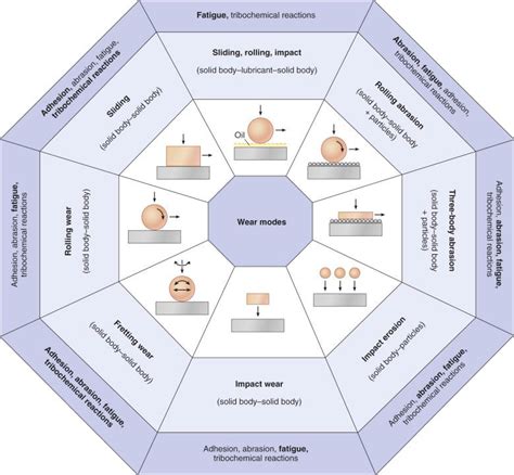 Tribology Of The Artificial Hip Clinical Tree