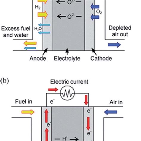 Schematic Diagram Of The Processes Taking Place In A Sofc During Download Scientific Diagram