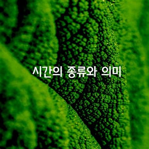 시간의 종류와 의미 가장 낭비하는 시간은 방황하는 시간 가장 교만한 시간은 남을 깔보는 시간 가장 자유로운 시간은 규칙적인 시간 아침편지 좋은글 힐링글