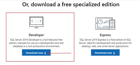 2019 Sql Server Developer Edition Pnaeye