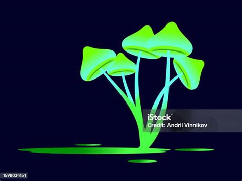 검은색 바탕에 웅덩이가 있는 녹색 생물 발광 버섯 긴 줄기에 형광 빛나는 버섯 생물 발광 균류가 빛납니다 배너 포스터 및 사인을 위한 디자인 벡터 그림 Drug에 대한 스톡