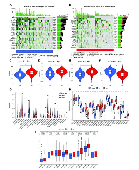 Somatic Mutations And Tumor Microenvironment Landscape In Different Download Scientific Diagram