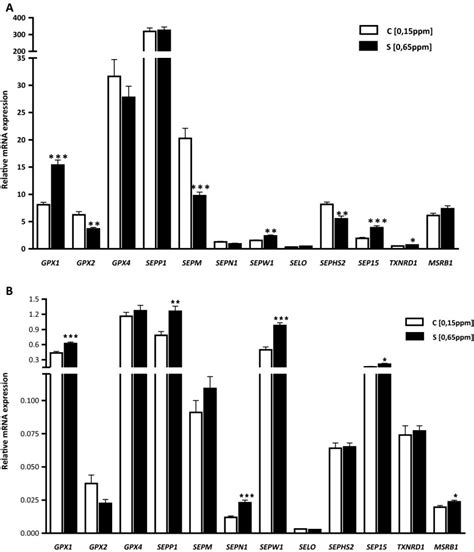 Effect Of Inorganic Dietary Selenium Supplementation On Selenoprotein