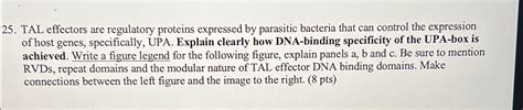 Tal Effectors Are Regulatory Proteins Expressed By