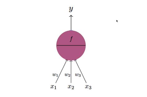 Mp Neuron Model Biological Neurons By Tanuj Shrivastava Analytics