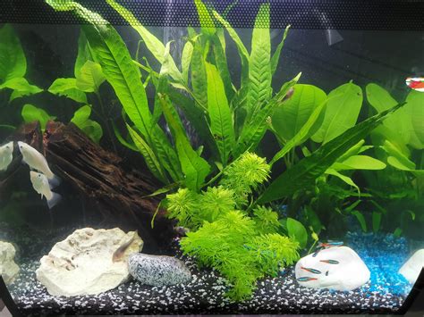 Best Bronze Images On Pholder Artefact Porn Pan Porn And Dprinting