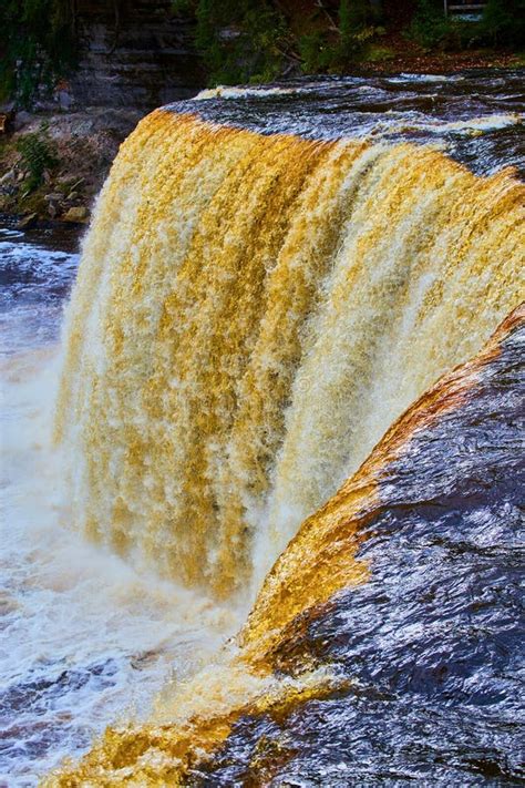Large Tahquamenon Falls Waterfall With Murky Brown Orange Waters And