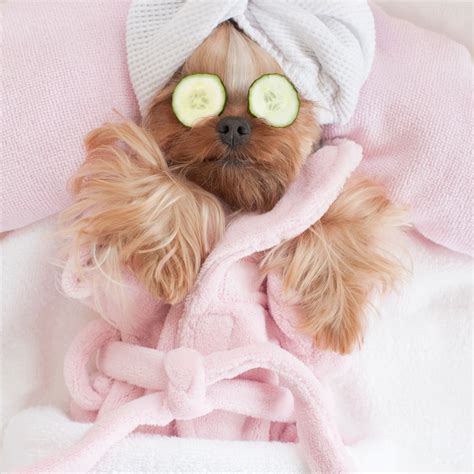 How Detachment Boosts Developer Productivity Sebastian Iacob Posted