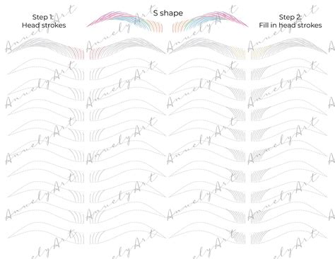 Microblading Patterns Nanoblade Pattern Basic Advance Curve S Shape Step By Step Pattern