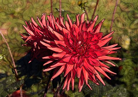 Unfolding Sex Appeal In Flowers On Behance