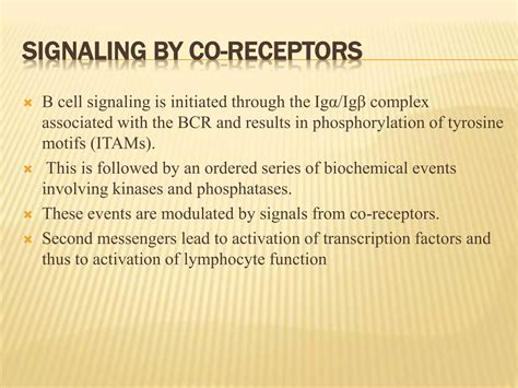 B Cell Mediated Effector Function Pptx