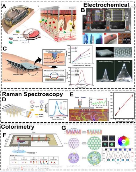 Microneedle Biomedical Systems Design And Applications