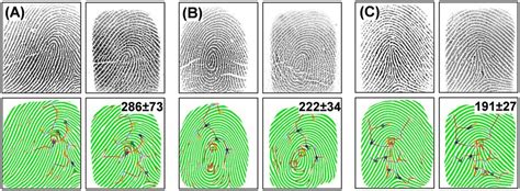 Matching Of 3d Pdms Phantoms With Original Fingerprints A