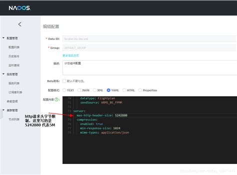 Springboot配置请求头大小前端发送请求头的大小怎么设置 Csdn博客