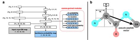 A The Architecture Of 3d Retinanet And Separate Coarse Grained