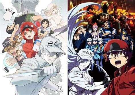 Cells At Work Season 2 And Code Black Key Visuals Both Of Them On