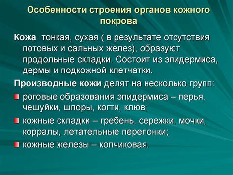 Изучение анатомии домашней птицы презентация онлайн