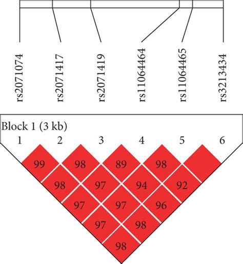 Haplotype Block Structure Of Acmp And Deacmp Patients The Index