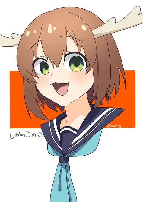 Nokotan Kameda Rnokotan