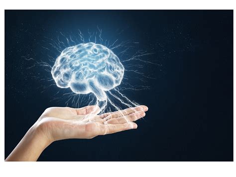 똑똑해지는 나의 뇌를 원한다면 뇌 업그레이드