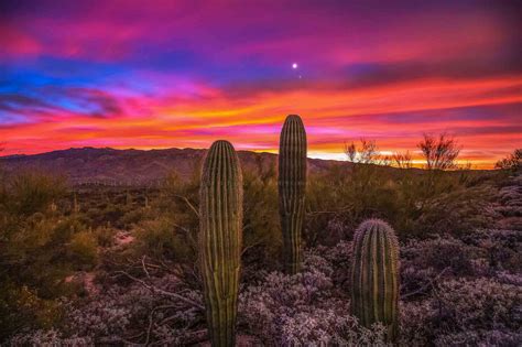 Sonoran Desert Wallpapers 4k Hd Backgrounds On Wallpaperbat