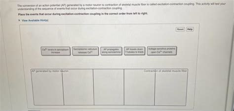 Solved Arrange The Steps Of The Contraction Cycle In The