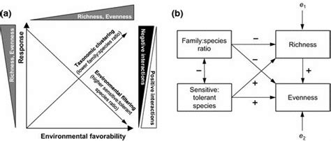 Conceptual Model Identifying The Processes Underlying The Variability