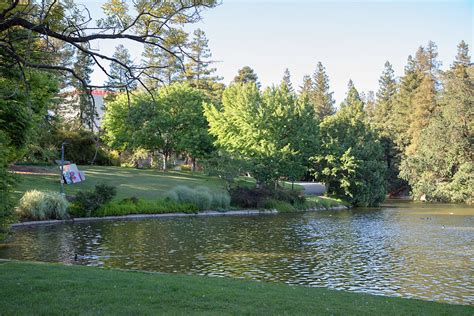 Uc Davis Arboretum Asian Garden East