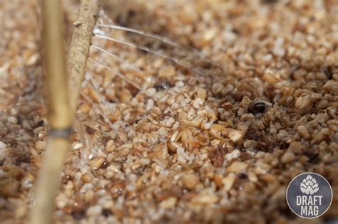 Batch Sparge A Complete Guide To Creating The Perfect Brew