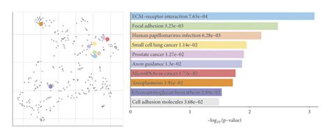 Implication Of Ddr2 Expression On Invasive Bc Progression Patients