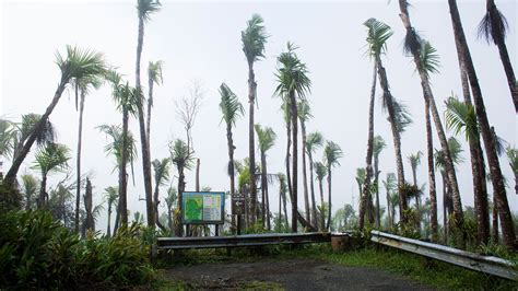 La Inteligencia Artificial Puede Ayudar A Lidiar Con El Clima Extremo Infobae