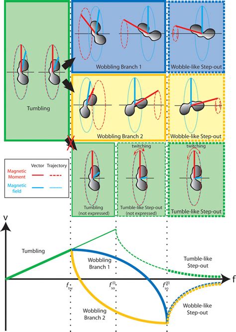 Schematic Illustration Of Nonlinear Propeller Dynamics At Low