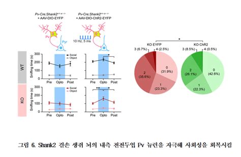 요약 있음 자폐 스펙트럼 장애 치료 가능성이 열리다 포텐 터짐 최신순 에펨코리아