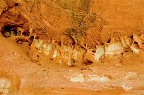 Differential Weathering In Sandstone Photograph By William Mullins Fine Art America
