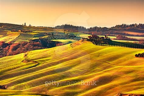Tuscany Spring Rolling Hills On Sunset Rural Landscape Green 이미지