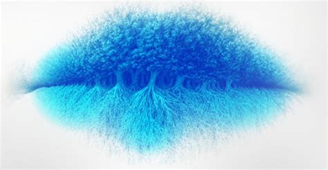 დაწერეთ რა დაინახეთ პირველად სურათზე და გაიგეთ ხასიათის რა შტრიხები არის თქვენთვის