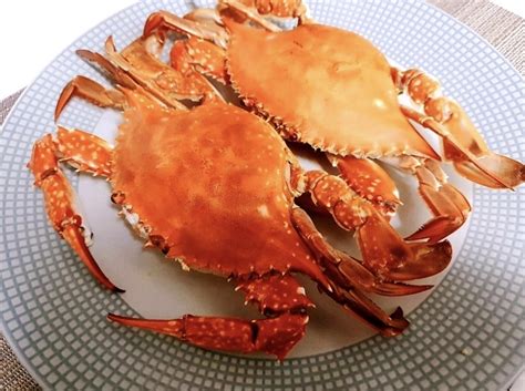 꽃게찜 꽃게찌는법 꽃게찌는시간 꽃게손질법 꽃게요리