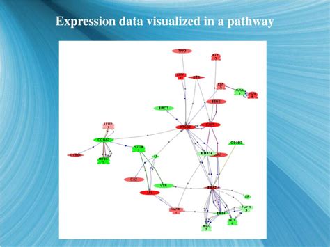 Ppt Targeting Egfr Signal Transduction Pathway By Anticancer Drugs