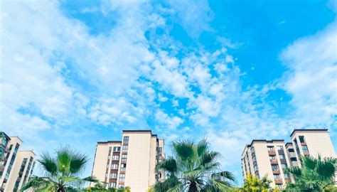 周末北京晴天为主 今天最低气温 5℃左右阵风可达6级 天气网