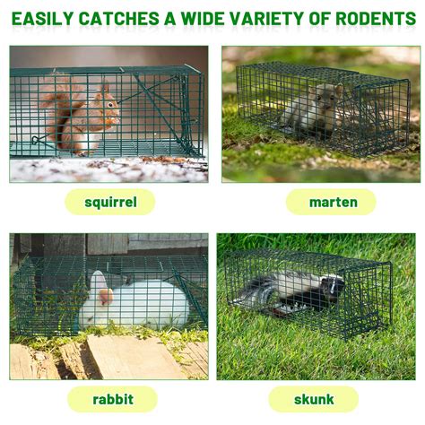Qualirey 2 Pcs 16 x 5 x 5 Inch Humane Squirrel Trap Heavy Duty Live Animal Chipmunk Trap Catch ...