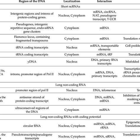 The Main Types Of Non Coding RNAs And Their Related Characteristics