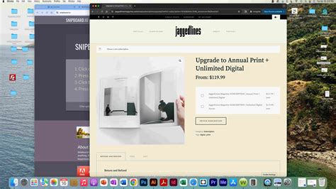 Showing Only 1 Subscription On The Product Page When Switching Woocommerce