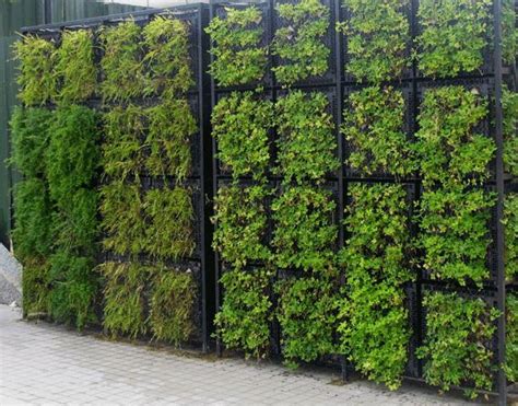 Muro Com Verde Construdeia Com