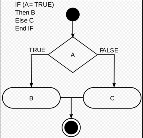 P5js Understanding Variables Data Types Conditional Statements