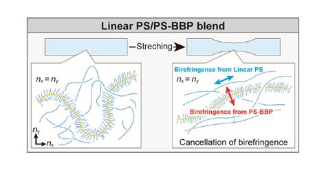 Blending Bottlebrush Polymers For Compensation Of Orientation