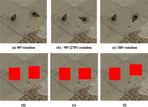 Image Forgery Detection Results Of The Proposed Technique In The