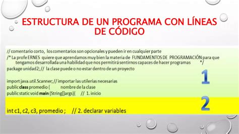 estructura de un programa ppsx