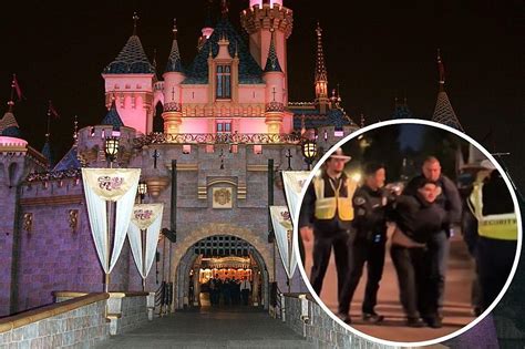 Disneyland Guest Arrested Following Violent Altercation Report