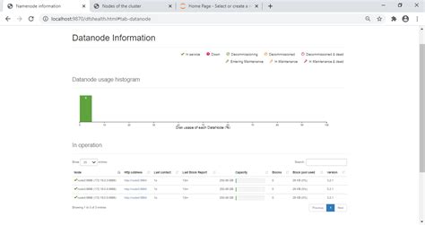 Hadoop En Mode Cluster Débuter Avec Lécosystème Hadoop