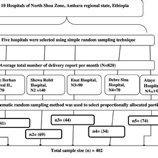 Schematic Presentation Of The Sampling Procedure To Assess Utilisation Download Scientific